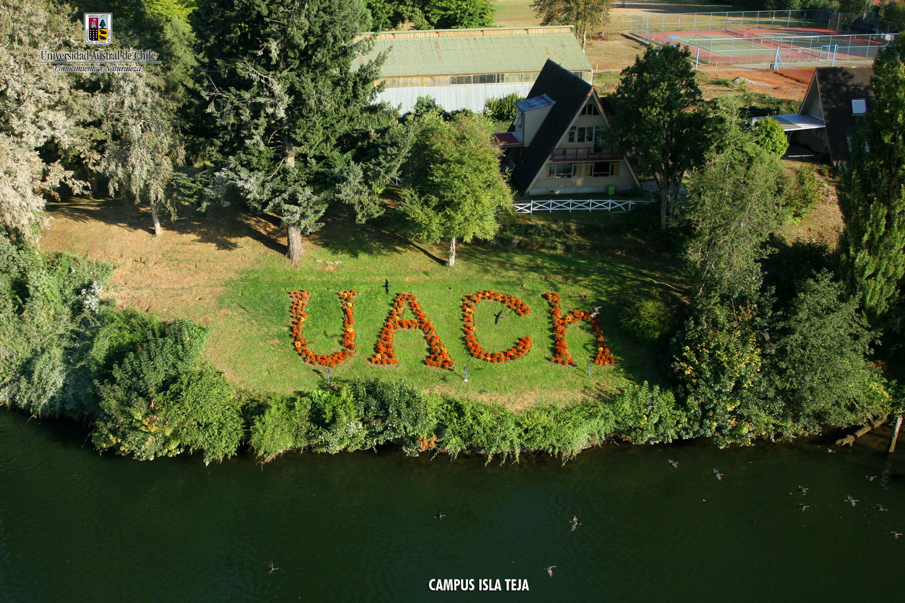 Universidad Austral de Chile (UACh) (Valdivia, Chile) - apply, prices ...