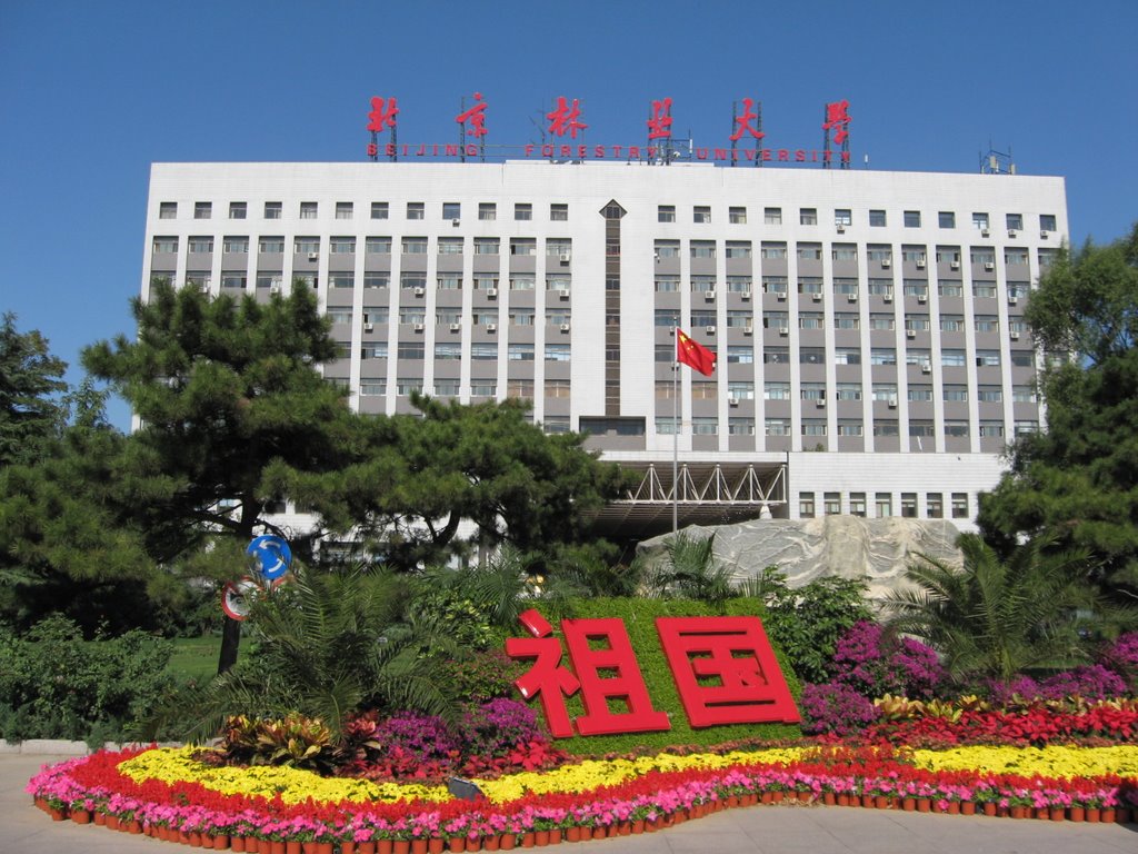 Beijing Forestry University (Beijing, China)