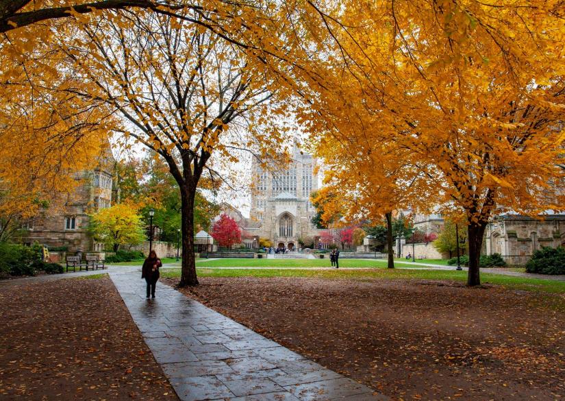 Yale University Summer Junior Camp (Yale, New Haven, Connecticut, USA)