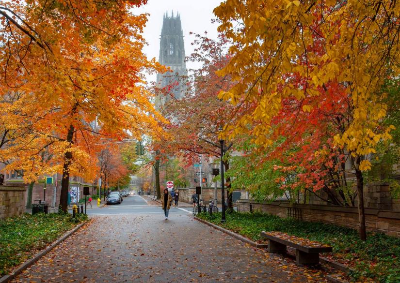Yale University Summer Junior Camp (Yale, New Haven, Connecticut, USA)