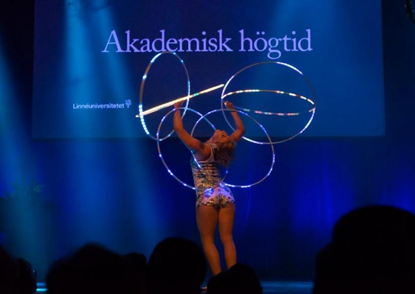 Linnaeus University (Kalmar, Sweden)