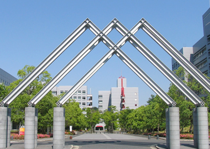 Nara Institute of Science and Technology (NAIST) (Osaka, Japan)