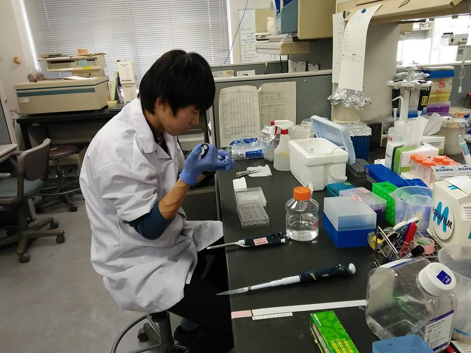 Nara Institute of Science and Technology (NAIST) (Ikoma, Japan) - apply ...