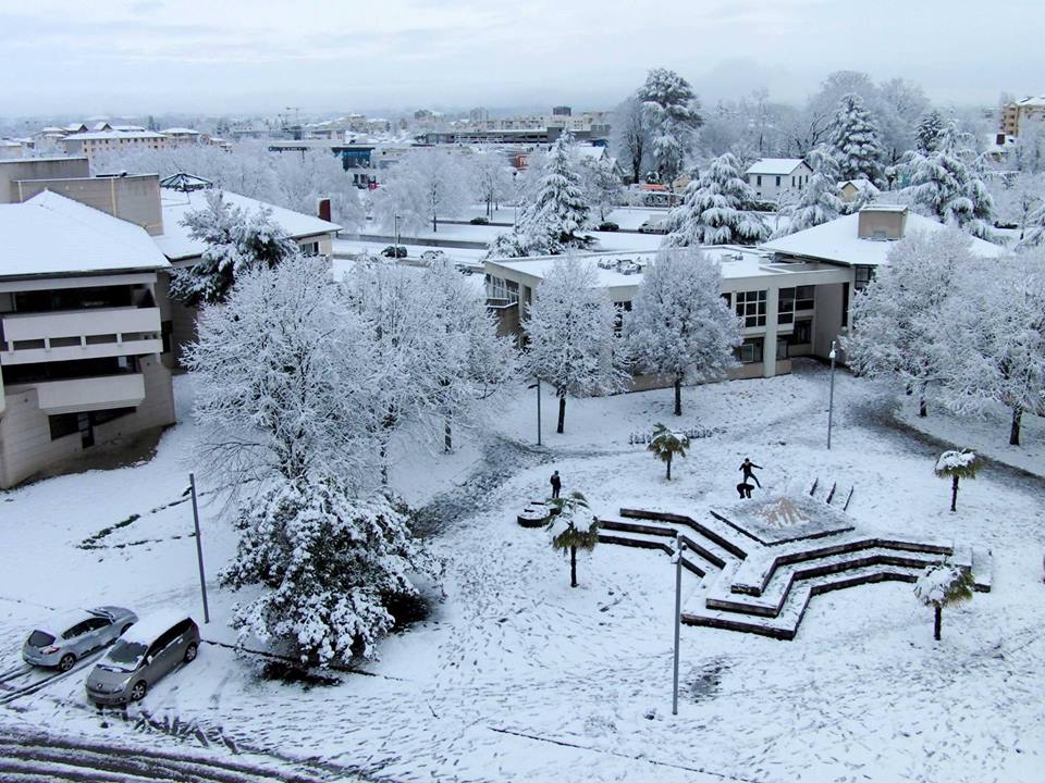 Université de Pau et des Pays de l'Adour (UPPA) (Pau, France) - apply ...