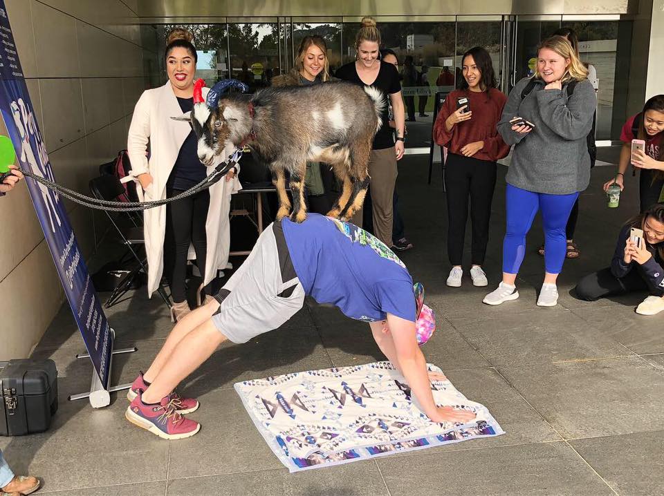 Loyola Marymount University (LMU) (Los Angeles, California, USA ...