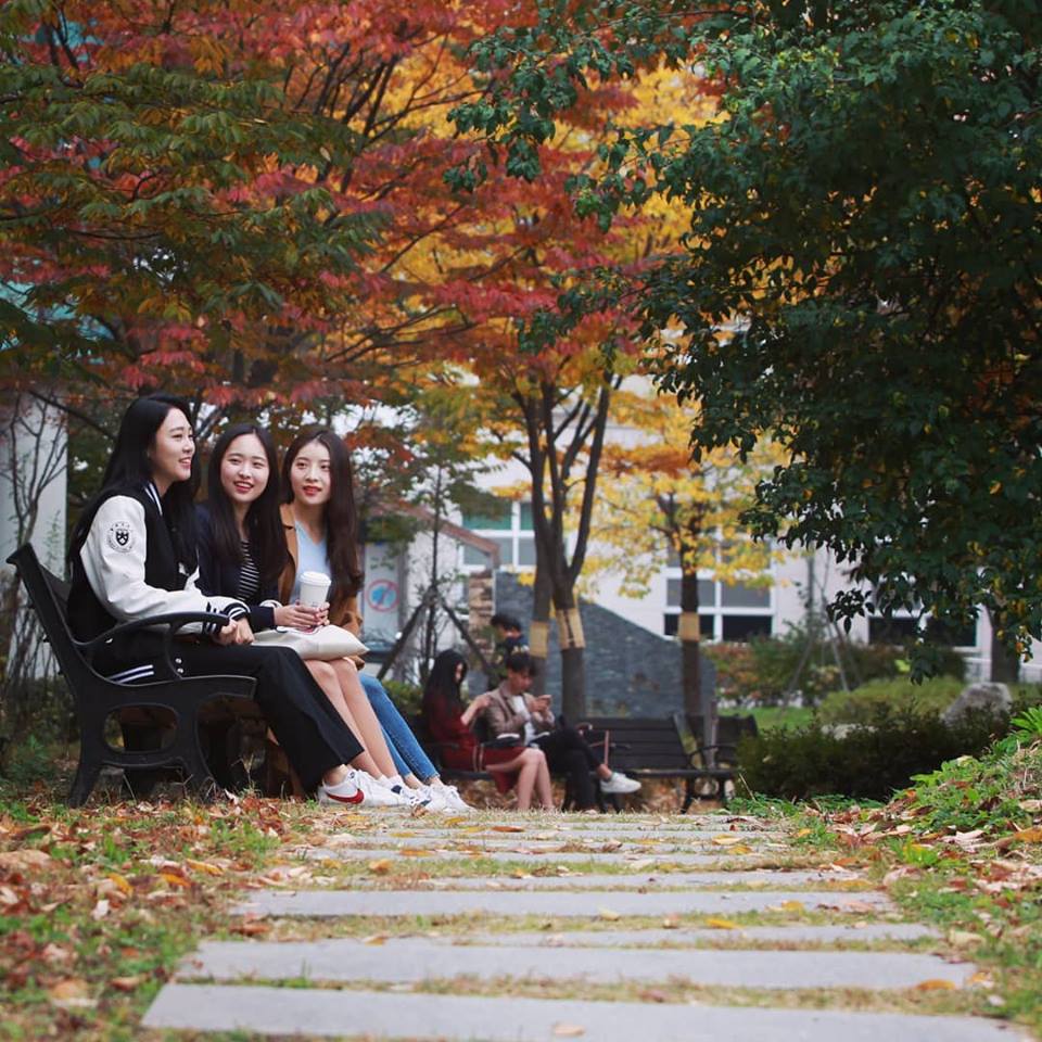 Chungbuk National University (Cheongju, South Korea) - apply, prices ...