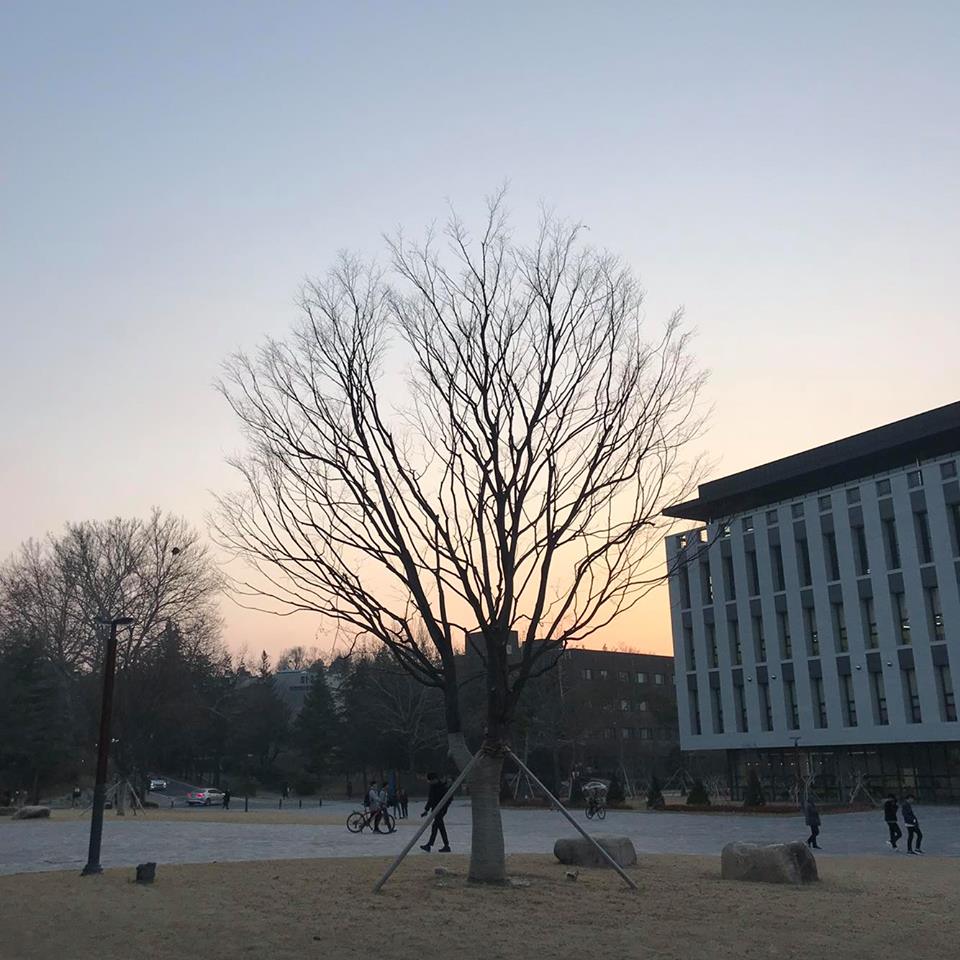 Chungbuk National University (Cheongju, South Korea) - apply, prices ...