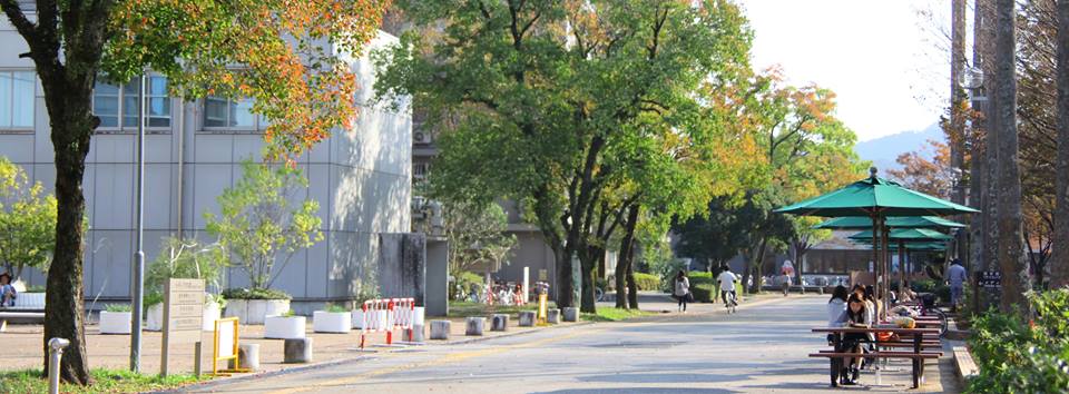 Kochi University (Cochin, India) - apply, prices, reviews | Smapse