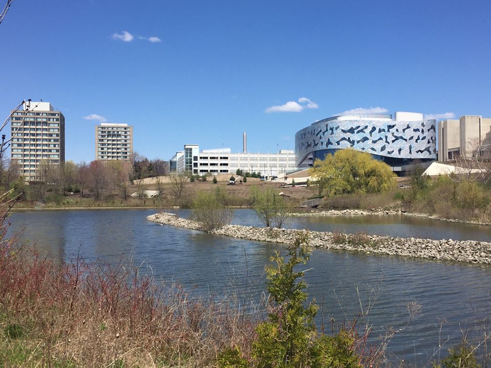 York University (Toronto, Ontario, Canada) - apply, prices, reviews ...