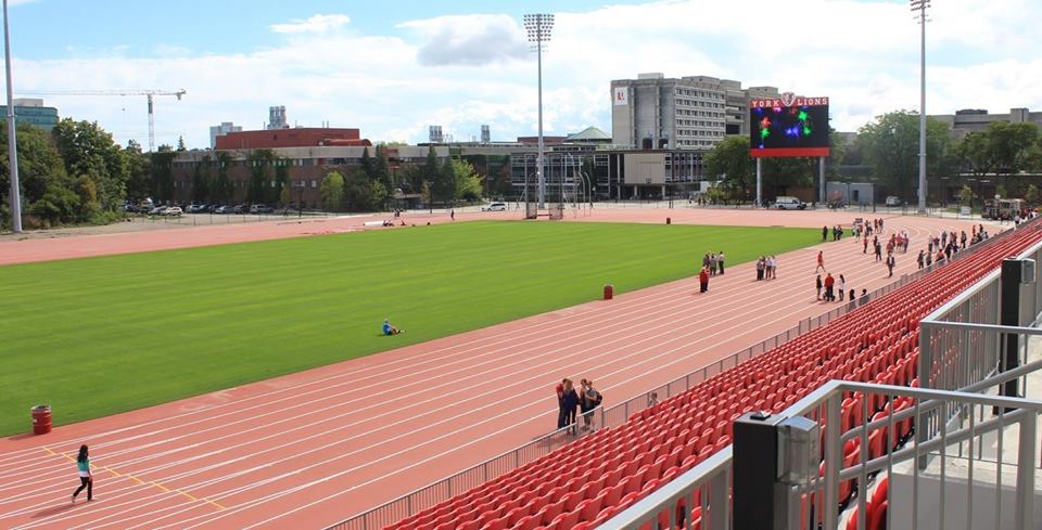 York University (Toronto, Ontario, Canada) - apply, prices, reviews ...