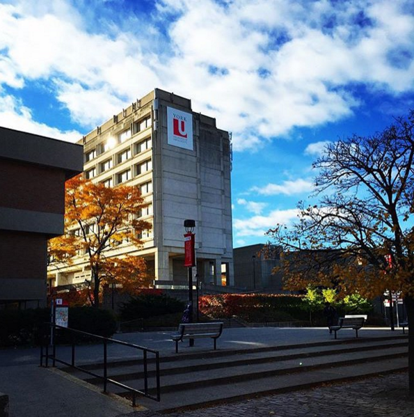 York University (Toronto, Ontario, Canada) - apply, prices, reviews ...
