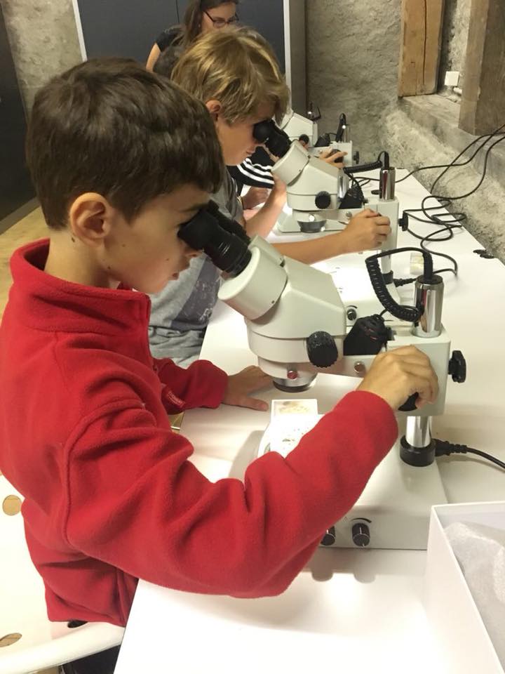 Ecole Riviera Primary School (Montreux, Switzerland) - apply, prices ...