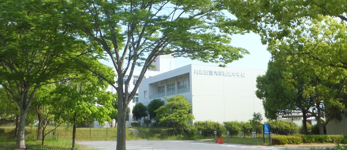 Hyogo University (Osaka, Japan) - apply, prices, reviews | Smapse