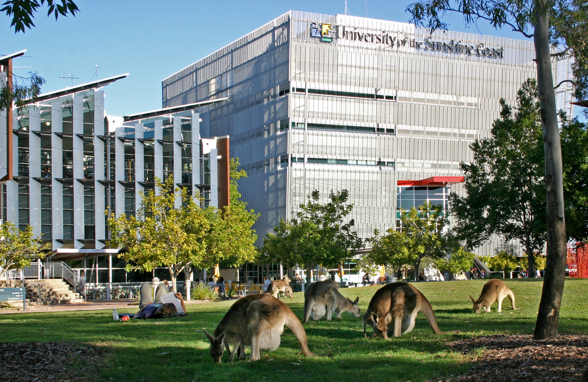 University of the Sunshine Coast (Brisbane, Australia) - apply, prices ...