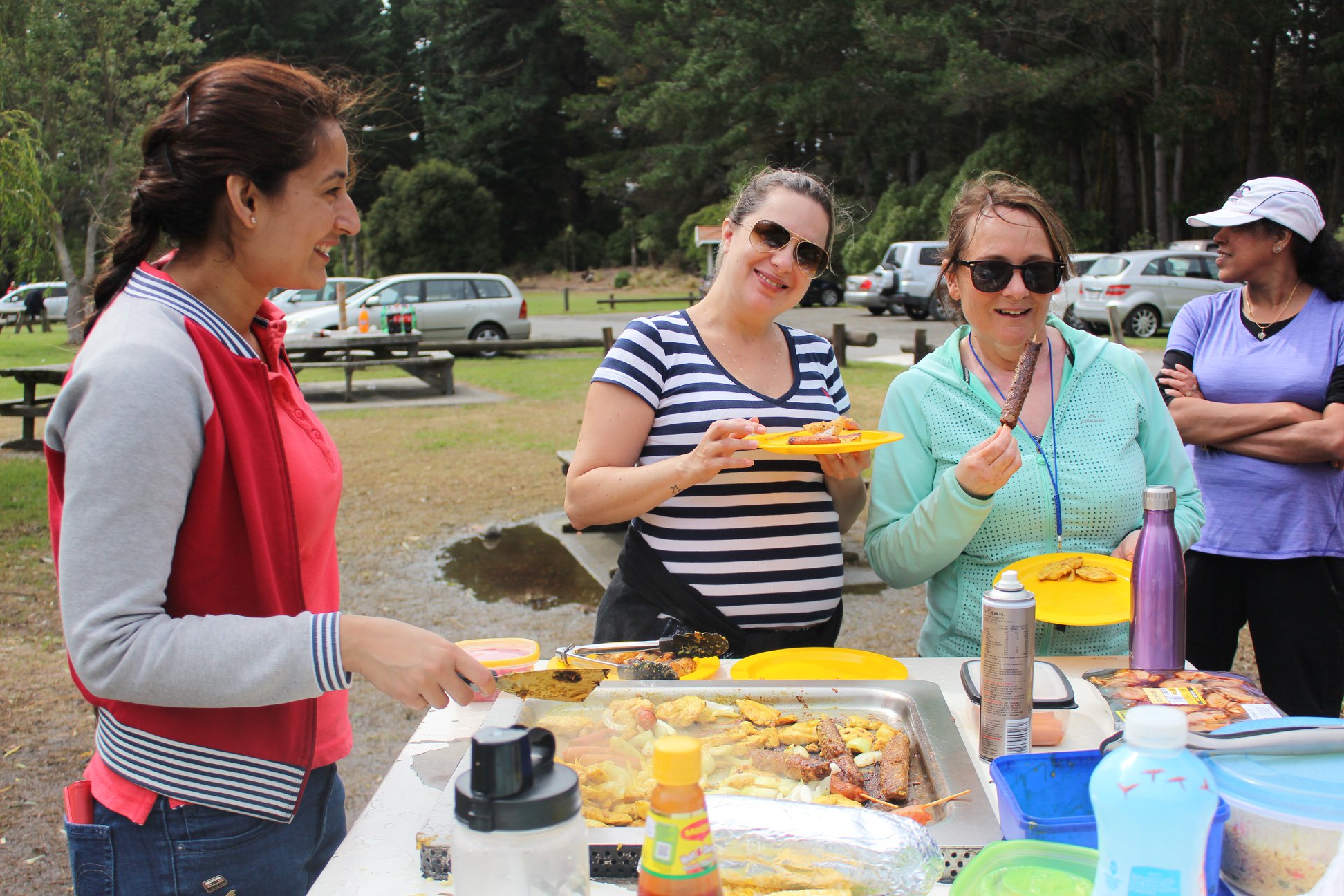 Abacus Institute Of Studies (Auckland, New Zealand) - apply, prices ...