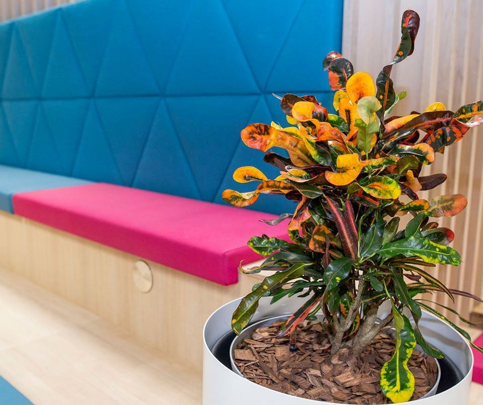 Laurea University of Applied Sciences (Helsinki, Finland) - apply ...