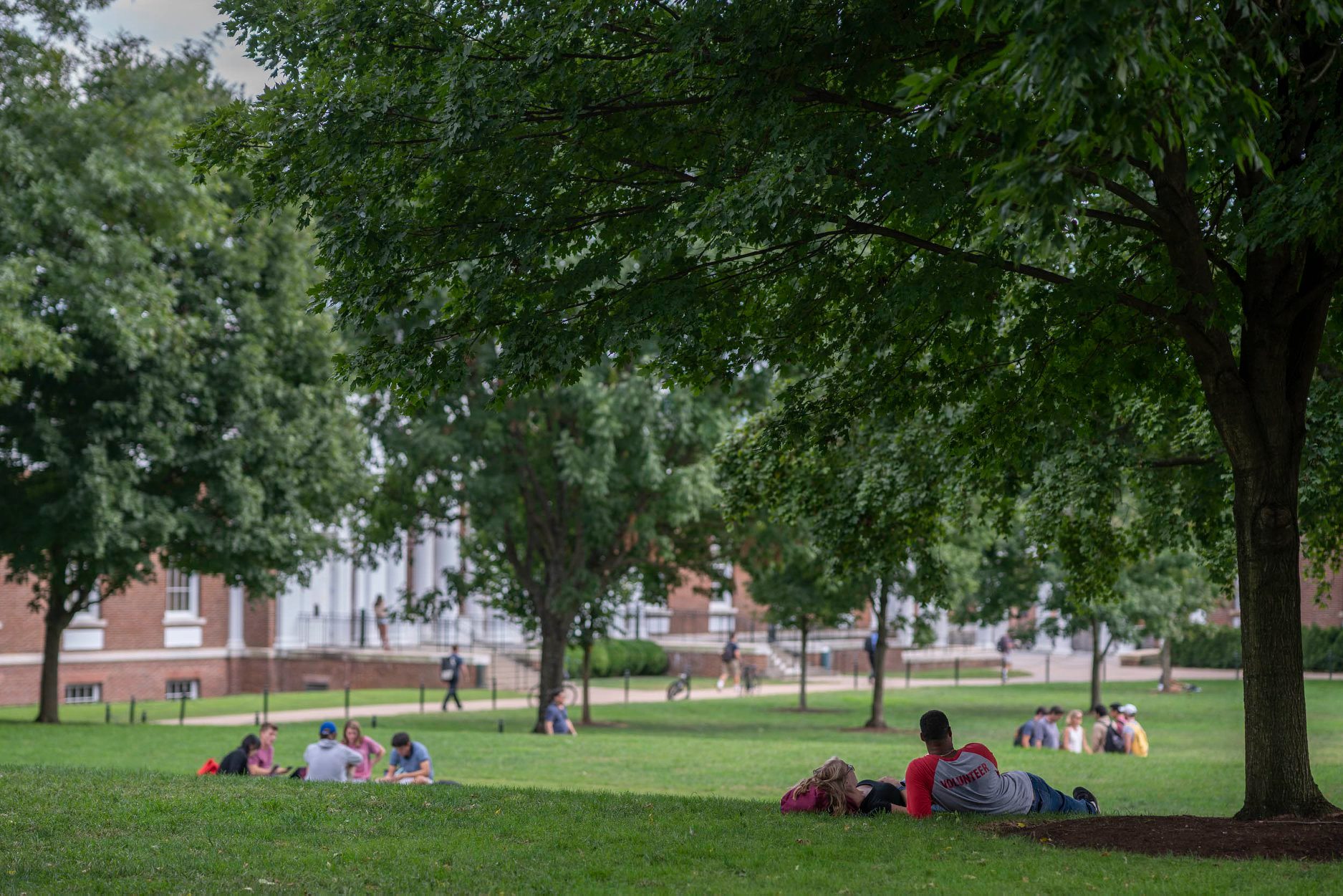 University of Virginia IT Summer Camp (Charlottesville, Virginia, USA ...