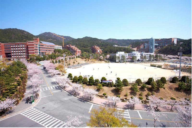Silla University (Busan, South Korea) - apply, prices, reviews | Smapse
