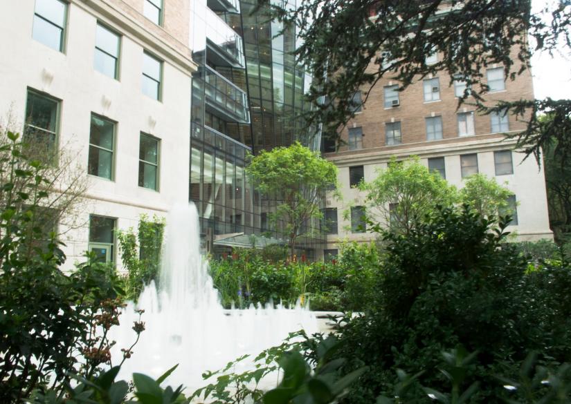 Rockefeller University (New York, USA)