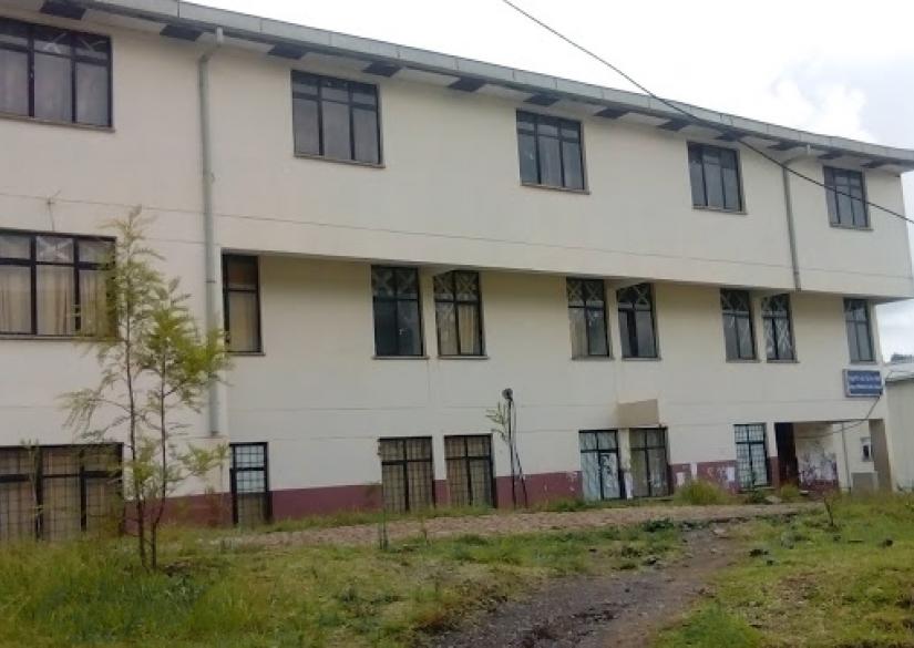 Wollo University (Addis Ababa, Ethiopia)