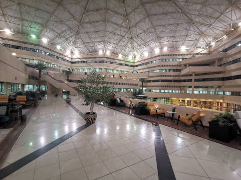 Qassim University Logo