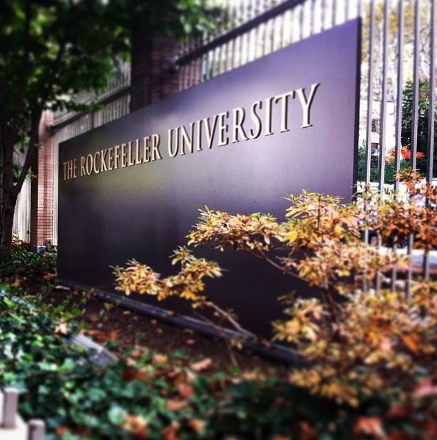 Rockefeller University (New York, USA) - apply, prices, reviews | Smapse