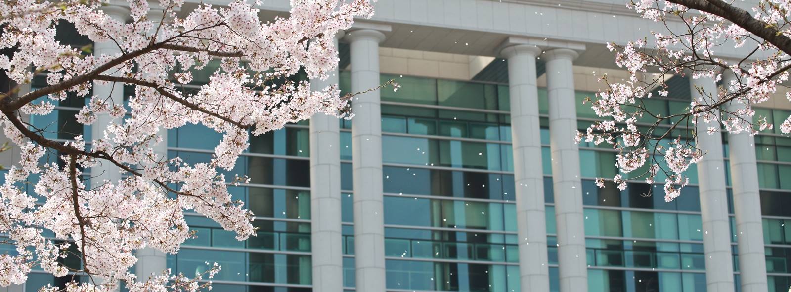 Sahmyook Health University (Seoul, South Korea) - apply, prices ...