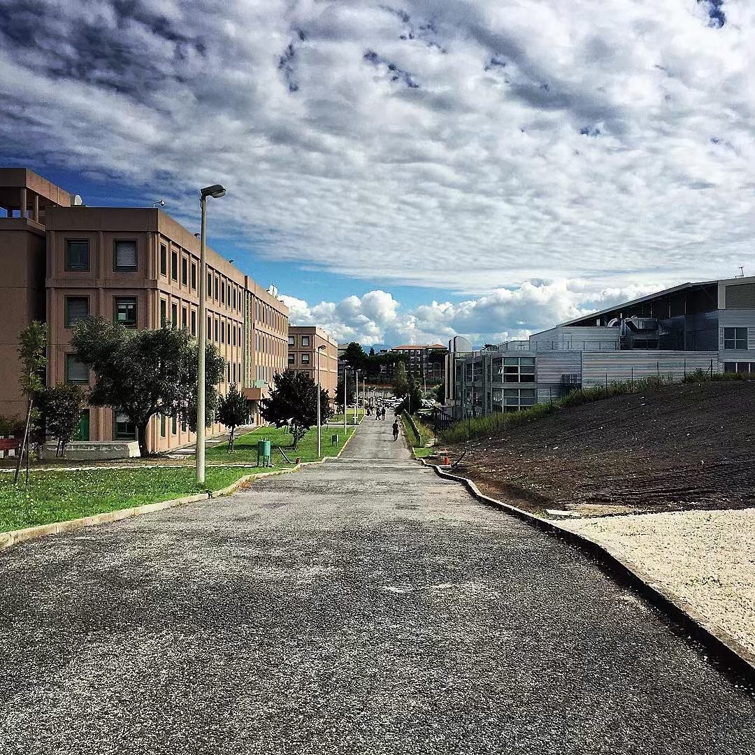 University of Roma - Tor Vergata (Rome, Italy) - apply, prices, reviews ...