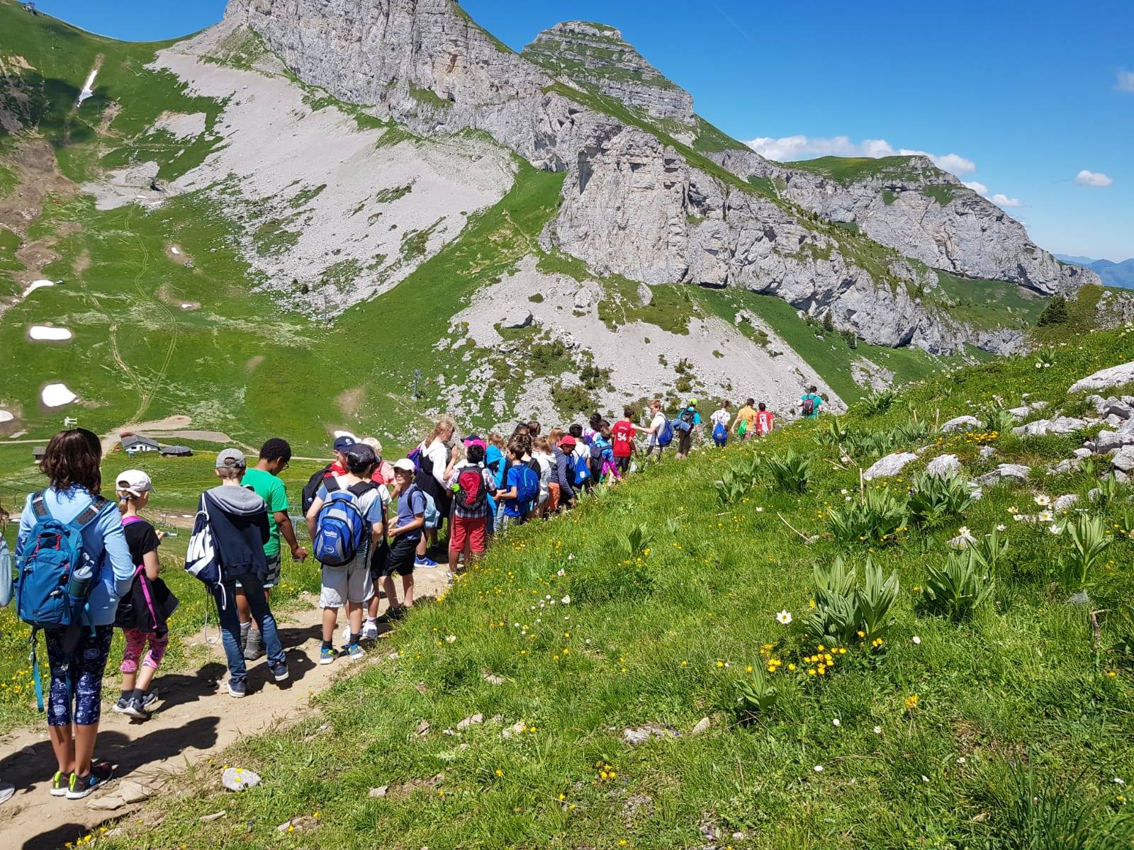 Haut-Lac International Bilingual School (Montreux, Switzerland) - apply ...