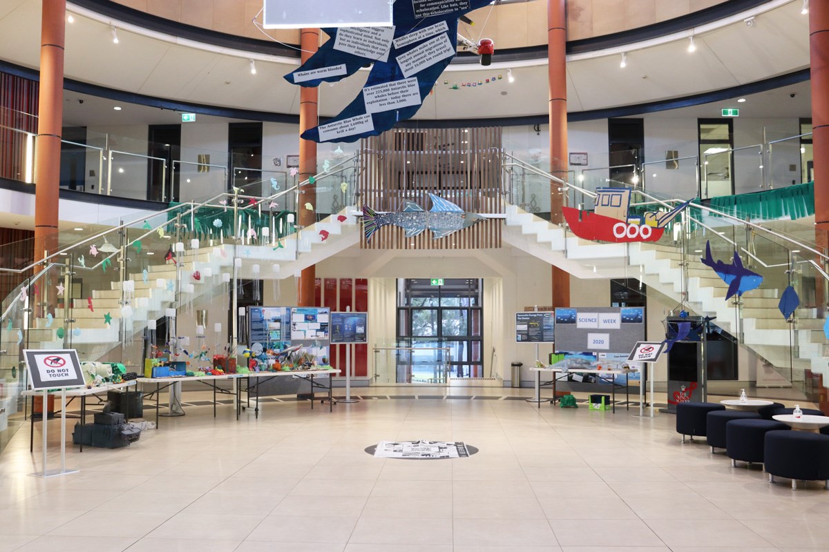 King S High School School For Boys King S High School Dunedin New