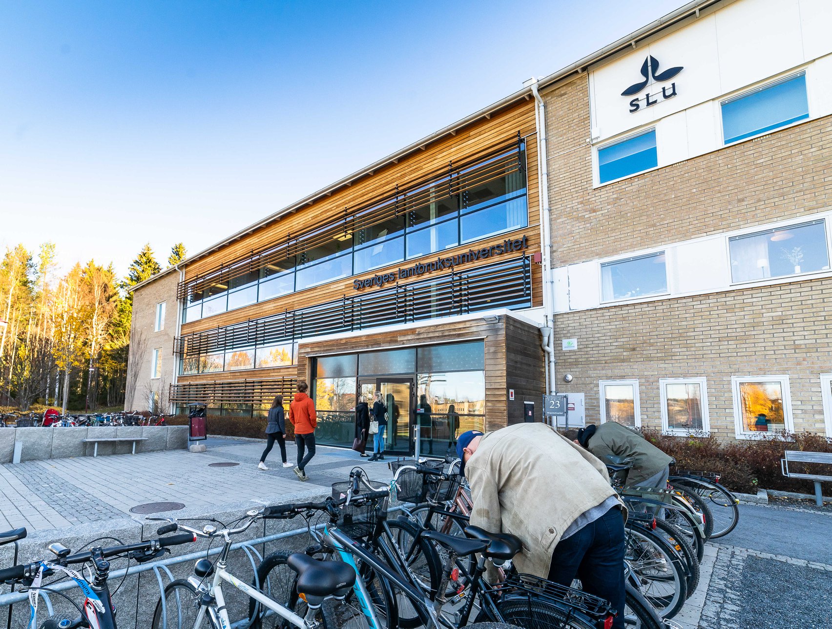 Sveriges lantbruksuniversitet (Swedish University of Agricultural ...