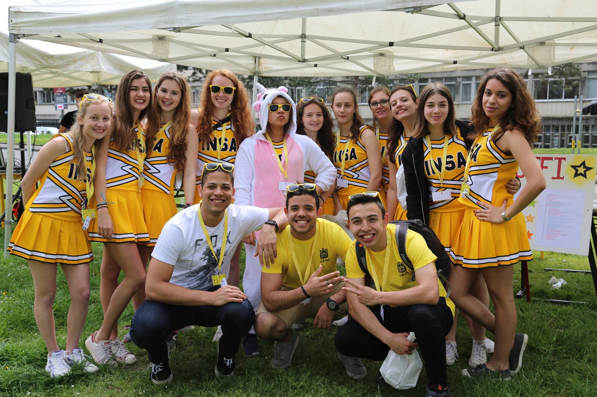 INSA Lyon, National Institute of Applied Sciences Lyon (Lyon, France ...