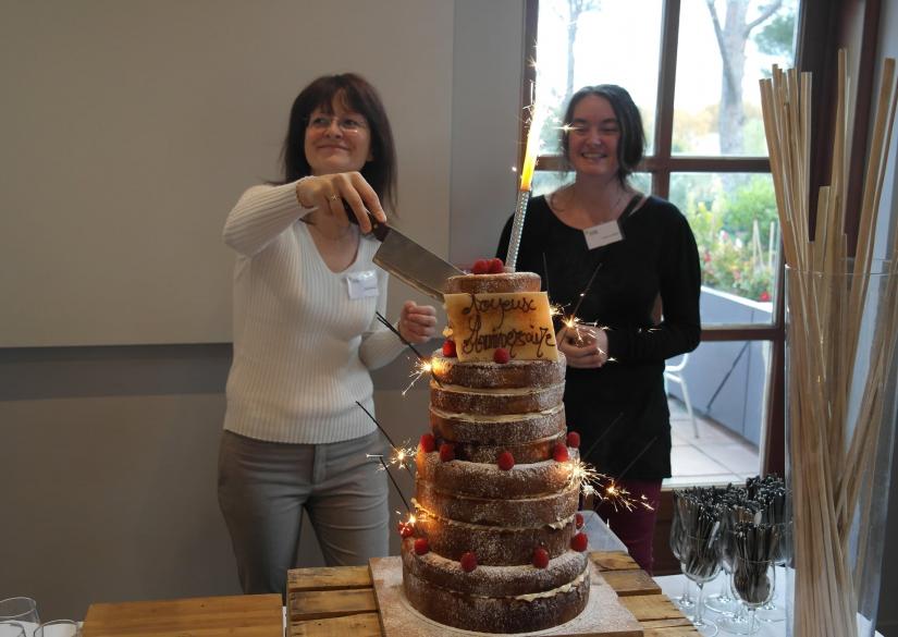 Montpellier SupAgro Institute (Montpellier, France)