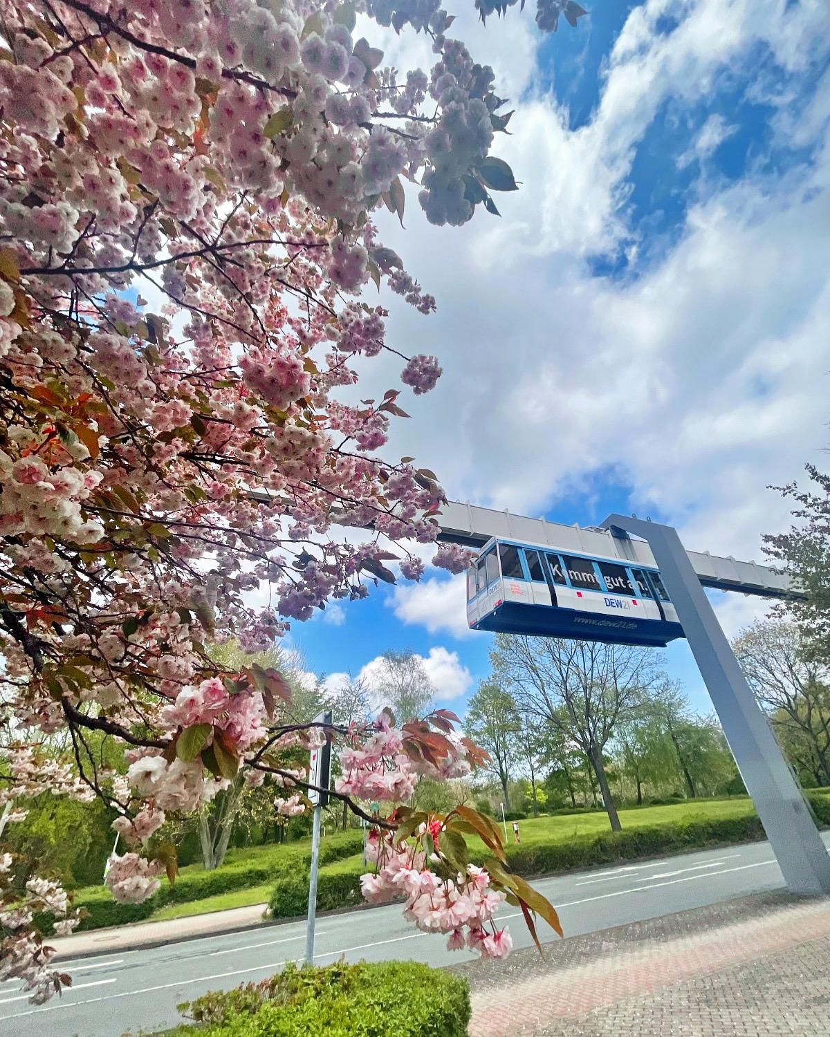 Technical University of Dortmund (Dortmund, Germany) - apply, prices ...