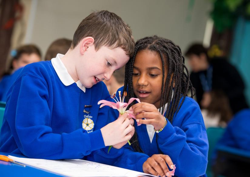 Tudor Summer School (London, United Kingdom)